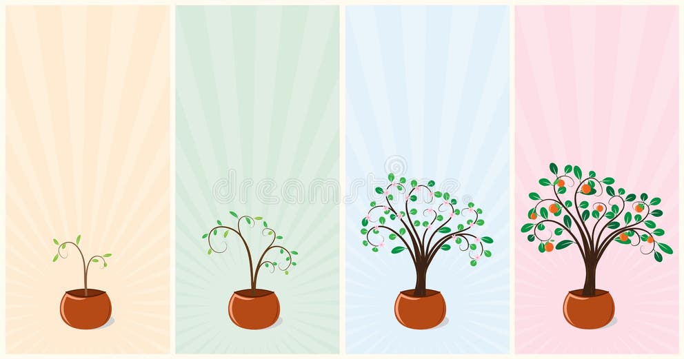 Mandarin trees stock vector. Illustration of mandarin - 9112036