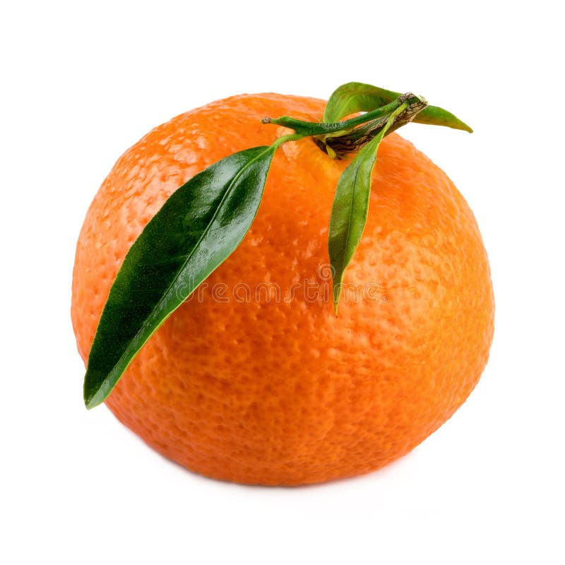 Single Mandarin Orange Fruit Isolated on White Stock Photo - Image of ...