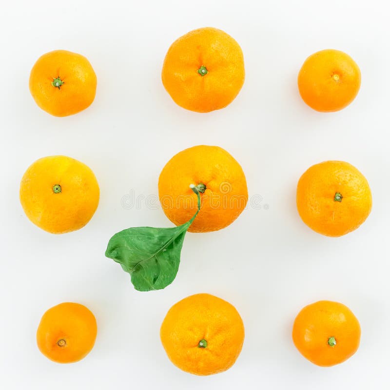Mandarin on White Background. Flat Lay. Top View Stock Image - Image of ...
