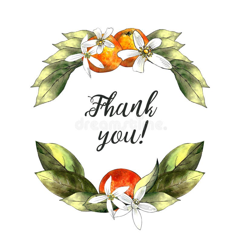 Mandarin Wreath with Leaves and Flowers. Drawing Markers Stock ...