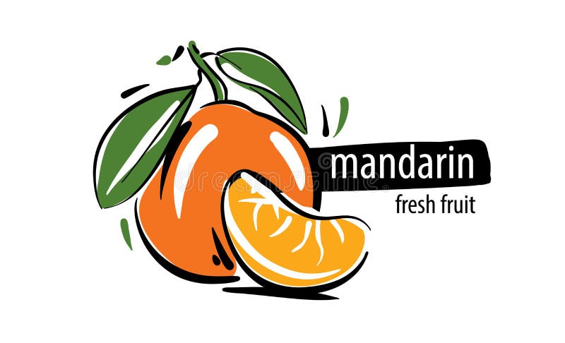 Mandarina Vector Dibujada Sobre Un Fondo Blanco Ilustración del Vector ...