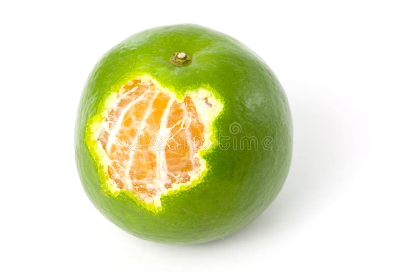 Mandarine verte simple image stock. Image du mandarine - 2589849