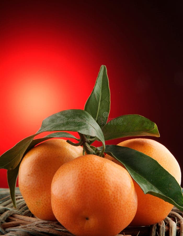 Mandarino fotografia stock. Immagine di piante, clementina - 11078418