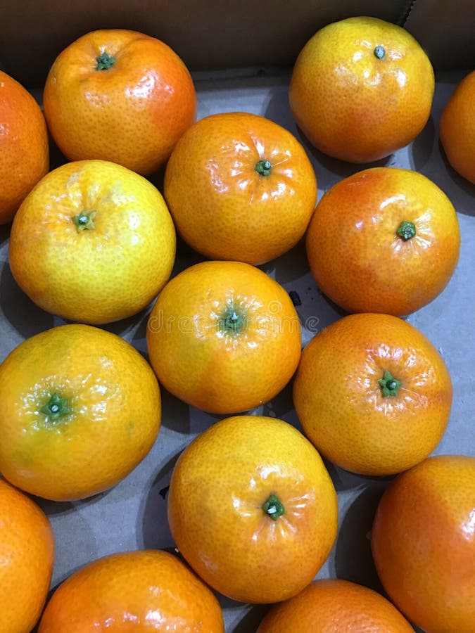 Mandarins in a box. stock image. Image of juice, mandarin - 358720947
