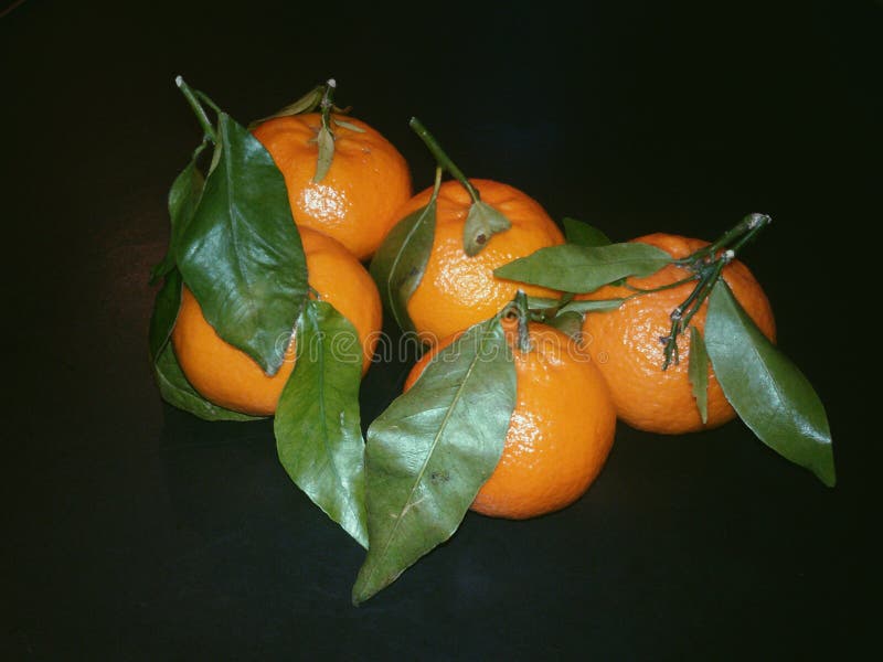 Mandarynka zdjęcie stock. Obraz złożonej z cytrusy, pomarańcze - 107408756