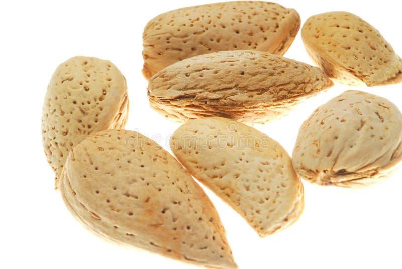 Mandel imagen de archivo. Imagen de tuercas, gérmenes - 2871955