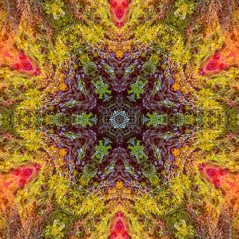 Mandela kaleido stock illustration. Illustration of design - 233603929