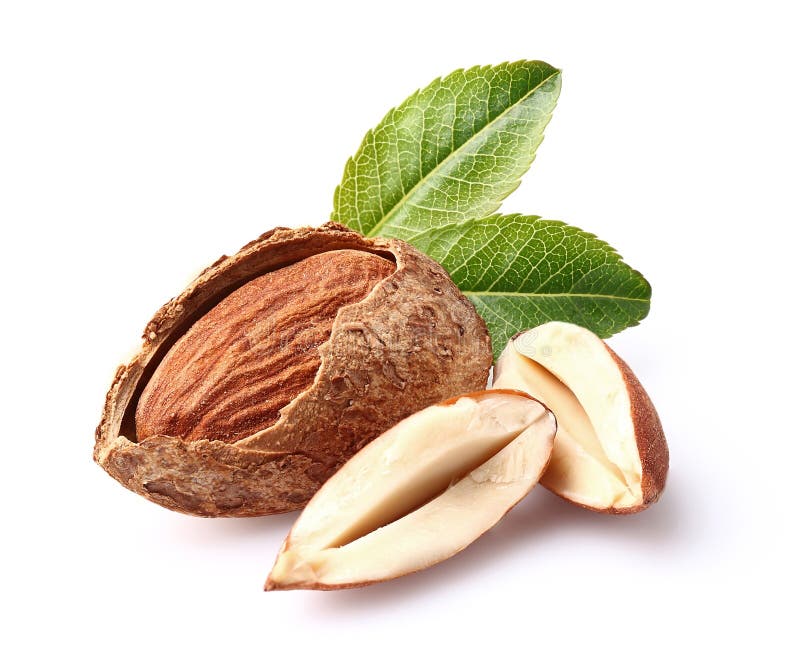 Mandelkern stockbild. Bild von frech, nahaufnahme, organisch - 38180961