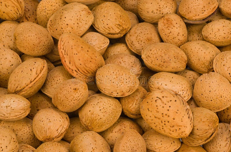 Mandeln stockbild. Bild von frech, muttern, mandeln, saatgut - 21123781