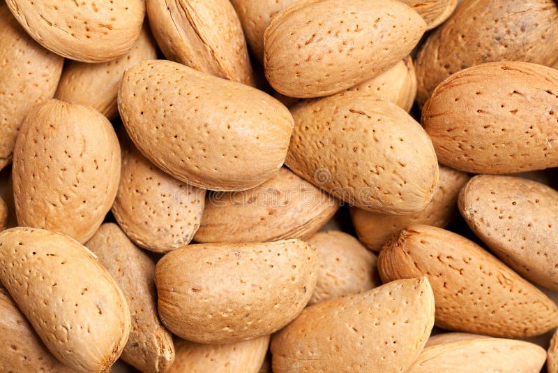 Mandeln in der Nuss-Schale stockbild. Bild von braun - 16451881