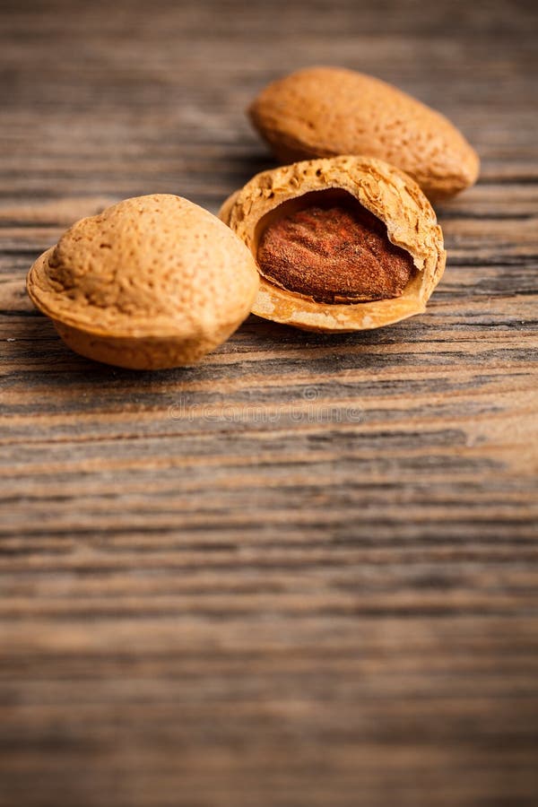 Mandelkern stockbild. Bild von frech, nahaufnahme, organisch - 38180961