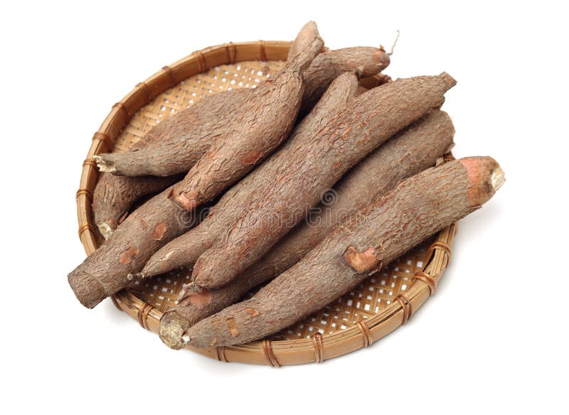 Mandioca foto de archivo. Imagen de cubo, alimento, mandioca - 137100616