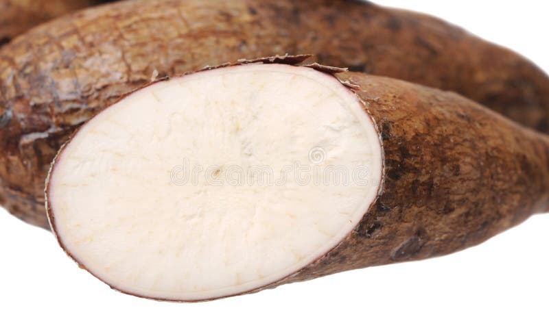 Mandioca imagen de archivo. Imagen de aislado, almidonado - 49390591