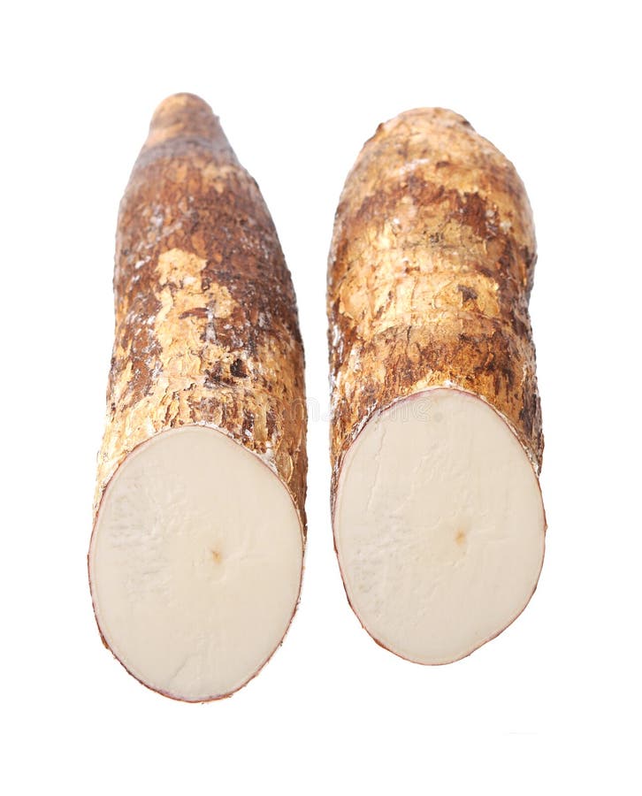 Mandioca (mandioca) imagen de archivo. Imagen de tropical - 30565007
