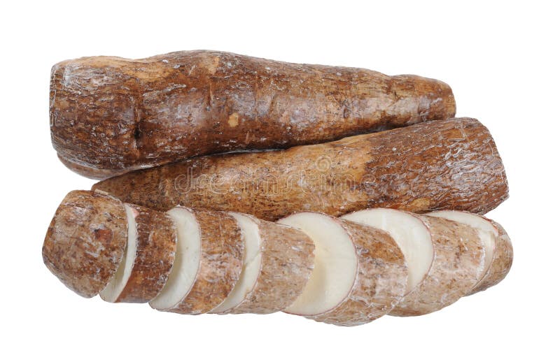 Mandioca (mandioca) foto de stock. Imagem de ninguém - 32391294
