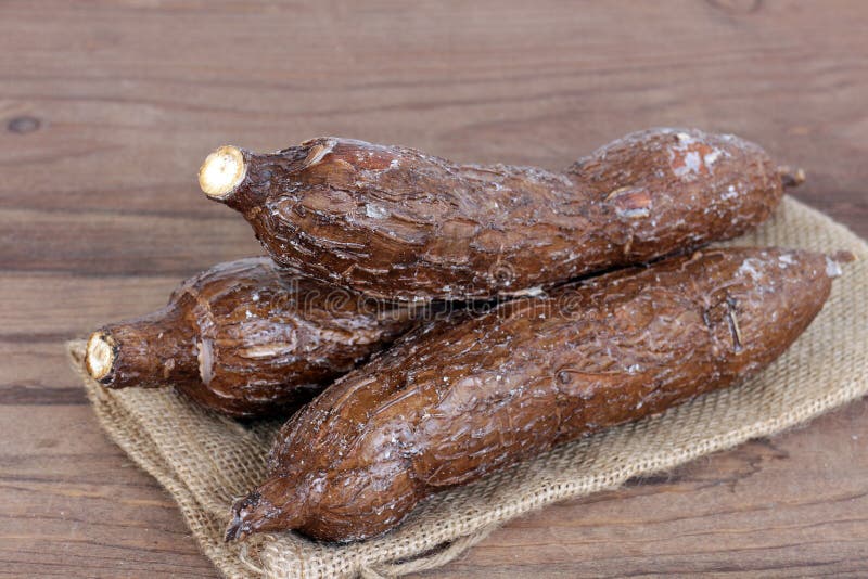 Mandioca (mandioca) foto de stock. Imagem de marrom, carbohydrates ...
