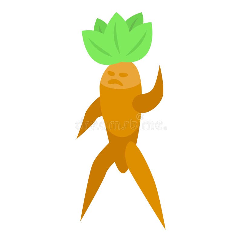 Mandragora Icon Isometric Vector. Leaf Green Stock Vector ...