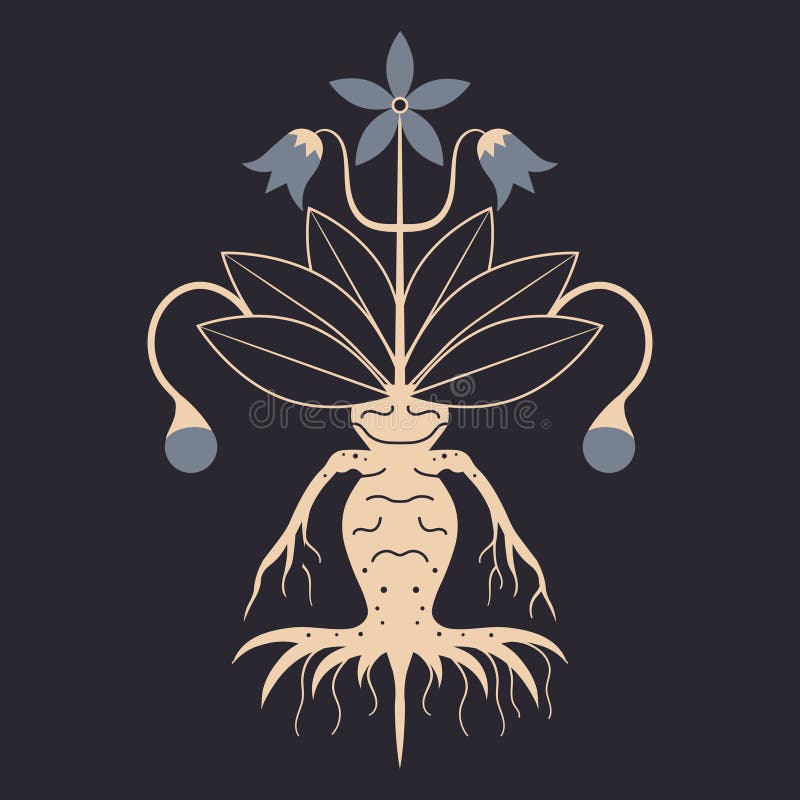 Mandragora Creature Stock Illustrations – 39 Mandragora Creature Stock ...