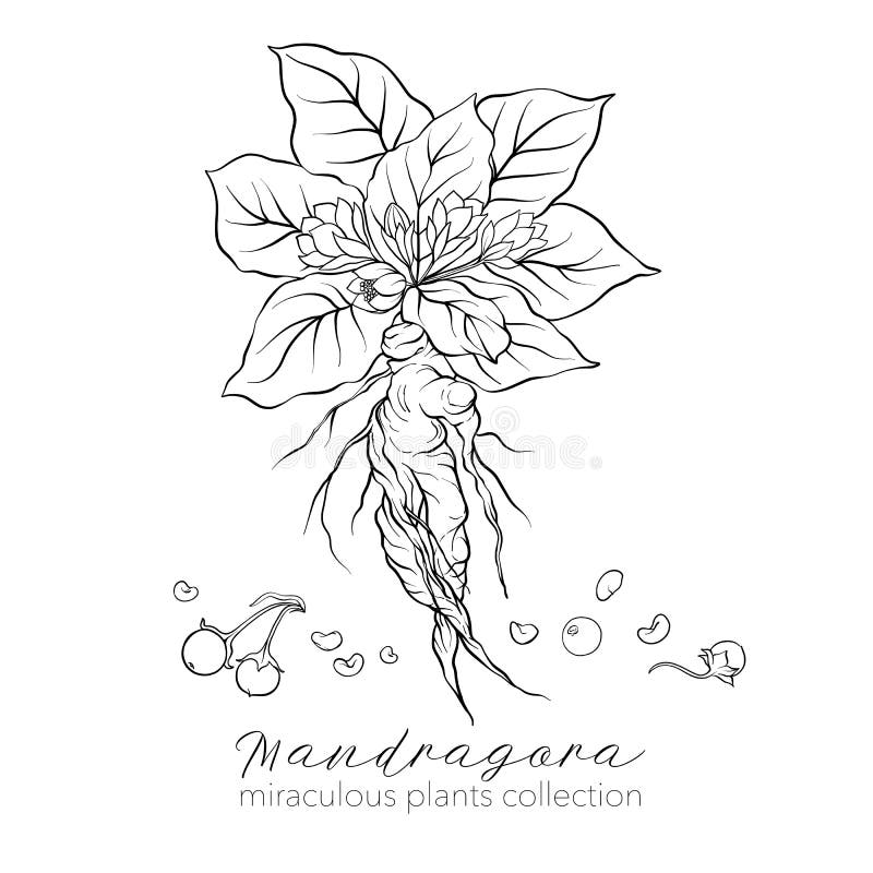 Barry Outline Stock Illustrations – 118 Barry Outline Stock ...