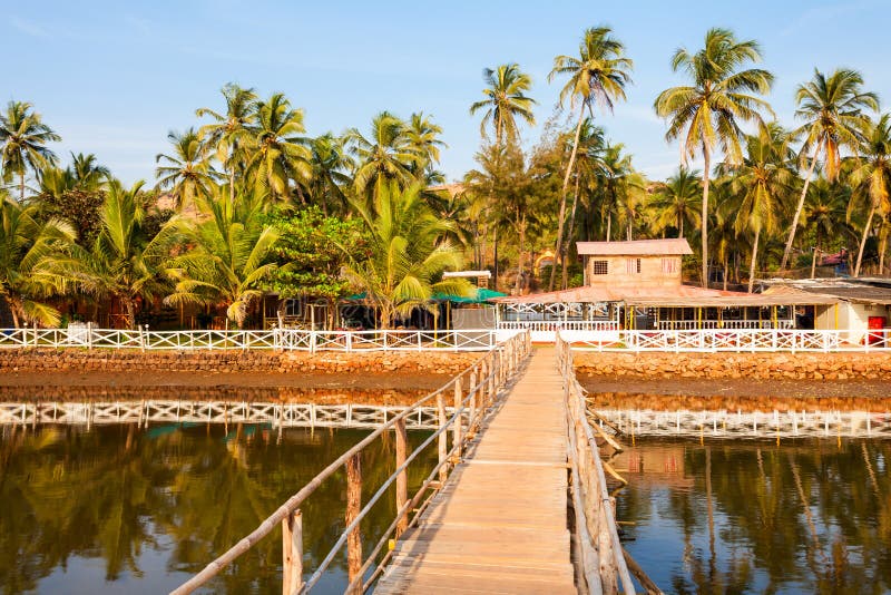 Mandrem beach Goa India stock image. Image of paradise - 93416415