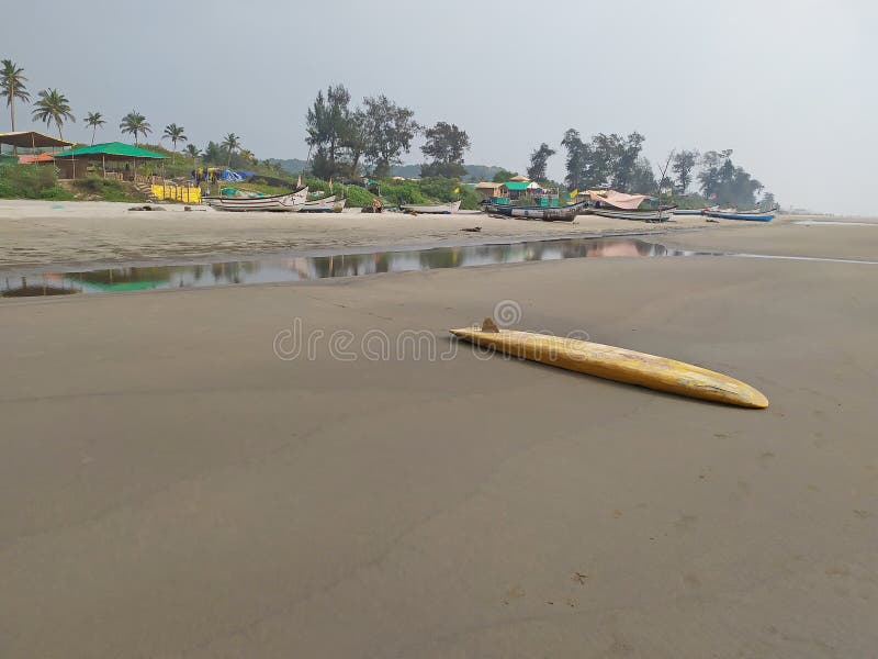 Mandrem beach, Goa, India editorial stock image. Image of summer ...