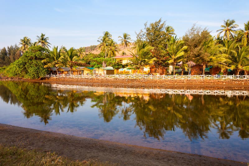 Mandrem beach Goa India stock photo. Image of palm, beach - 89569812