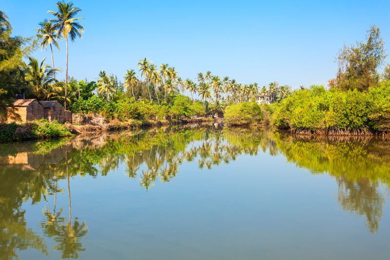 Mandrem beach Goa India stock photo. Image of ocean, bridge - 89569776
