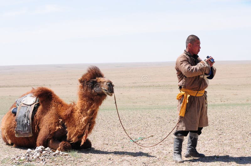 Mandriano Nomade Mongolo Con Il Suo Cammello Fotografia Stock ...