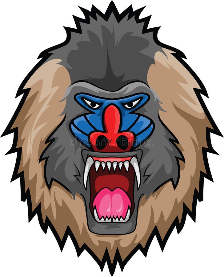 Mandrill ilustración del vector. Ilustración de blanco - 47880795
