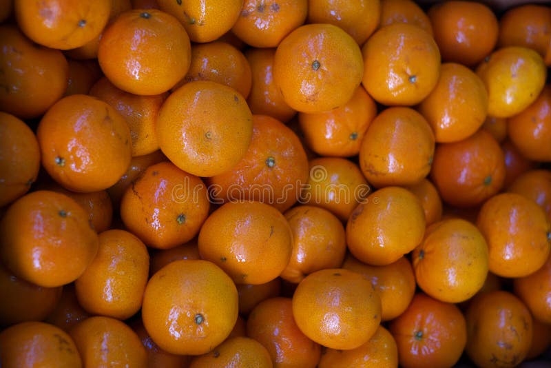 Mandrin Oranges Stock Photos - Free & Royalty-Free Stock Photos from ...