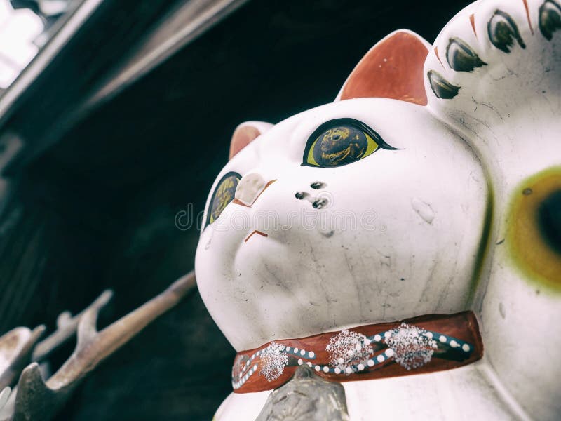 Maneki Neko Japanese Lucky Cat Stock Photo - Image of japan, beckoning ...