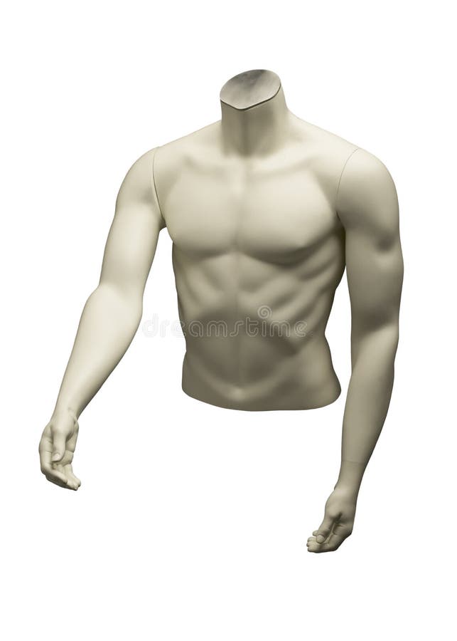 MANEQUIM DO TORSO MASCULINO NO FUNDO BRANCO Imagem de Stock - Imagem de ...