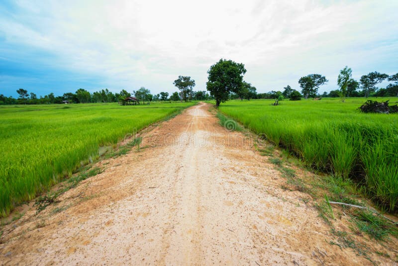 Manera De Camino Sucia De Cultivar Foto de archivo - Imagen de fango ...