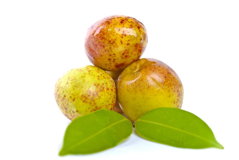 Mangaba foto de stock. Imagem de folha, branco, delicioso - 13561196