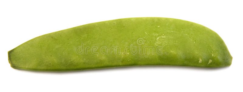 Mange tout stock photo. Image of corn, french, beans - 11534930