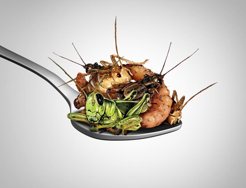 Manger De La Nourriture Exotique D'insectes Illustration Stock ...