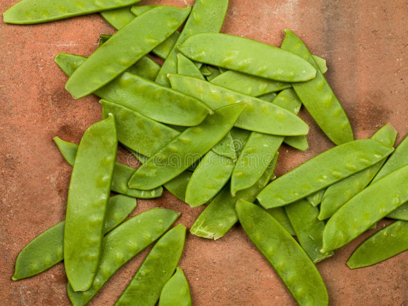 Mangetout or Mange Tout Peas Stock Photo - Image of people, heart: 84751532