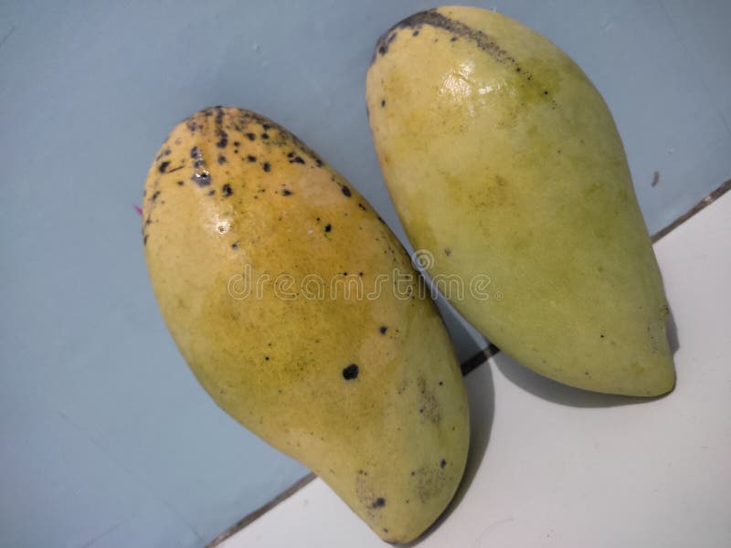 Mangga mango stock photo. Image of fruit, mango, yellow - 225103948