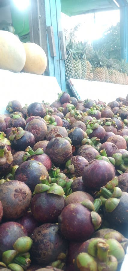 This is a Manggis Fruits from Indonesia Stock Photo - Image of ...