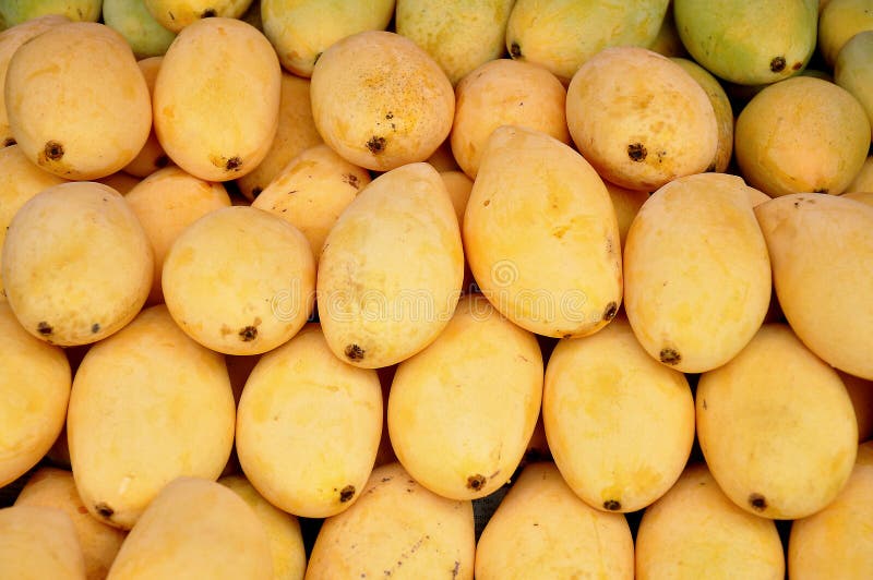 Mango immagine stock. Immagine di mango, affettato, alimentazione ...