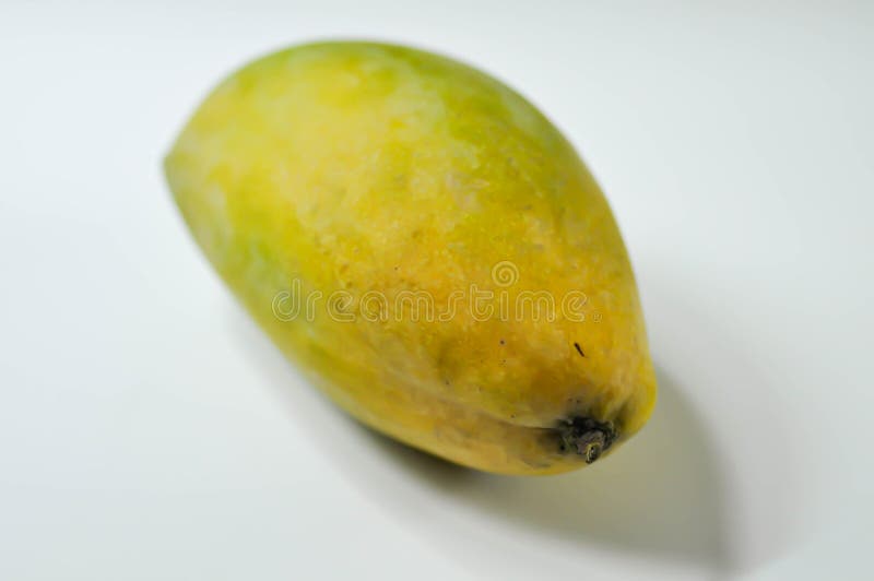 Mangifera Indica, Mango or Mango Seed or Ripe Mango Stock Image - Image ...