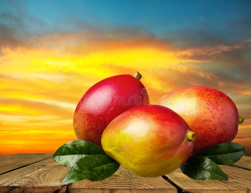 Fondo abstracto del mango foto de archivo. Imagen de textura - 93876482