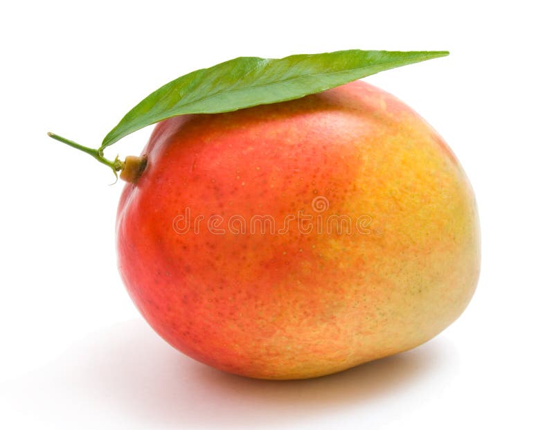 Mango stock photo. Image of green, yellow, fruit, mango - 35712156