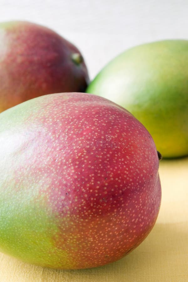 Mango fotografia stock. Immagine di studio, selettivo - 12576516