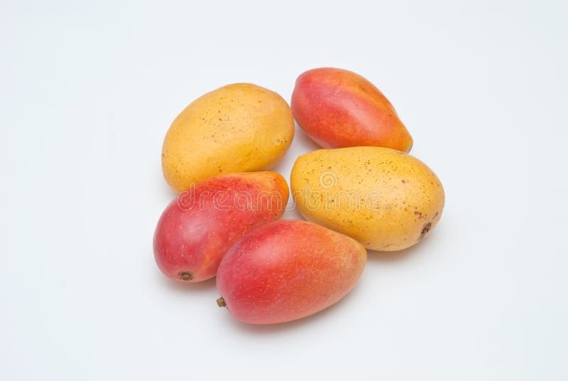 Mango Picture. Image: 13732411