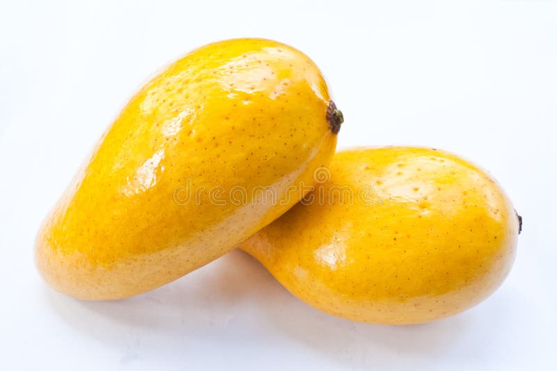 Manila Mangoes stock photo. Image of organic, creased - 11336422
