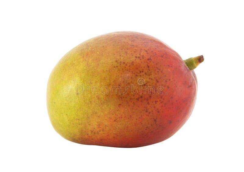 Mango stock image. Image of colorful, exotic, single - 16074385