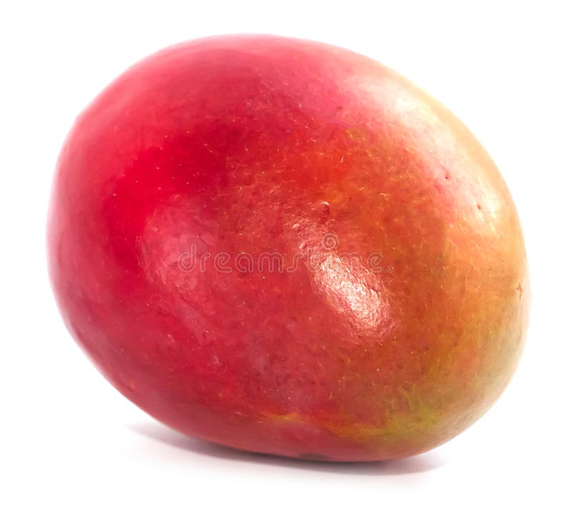 Mango stock image. Image of organic, seed, mango, fruit - 1755679