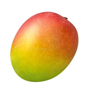Mango stock image. Image of organic, seed, mango, fruit - 1755679