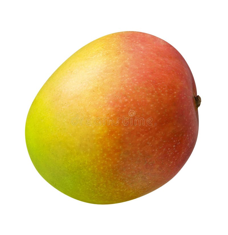 Mango stock photo. Image of fruits, freshness, fresh, juice - 4898598